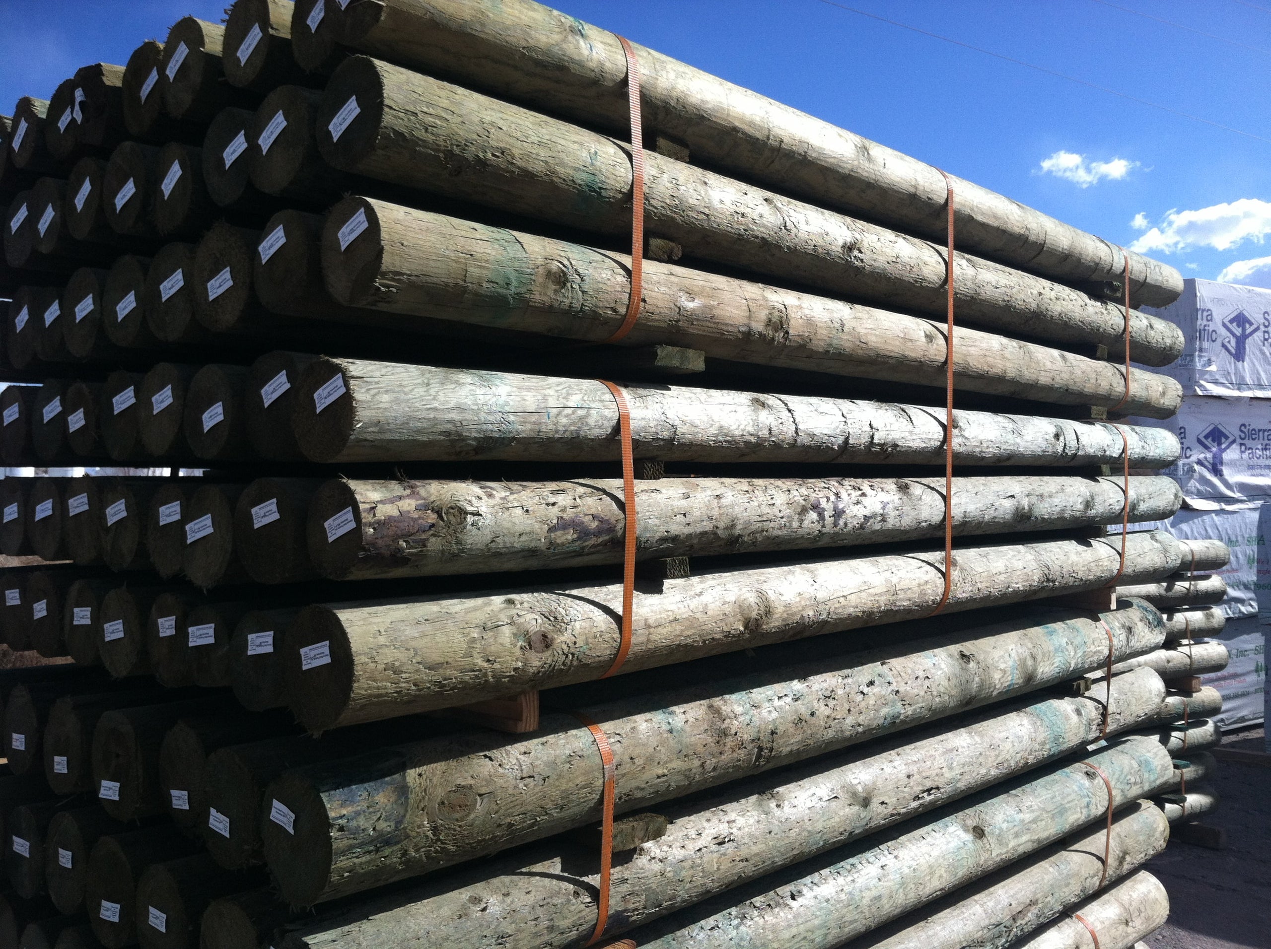 6"-12' Treated Post | Timberline Trading
